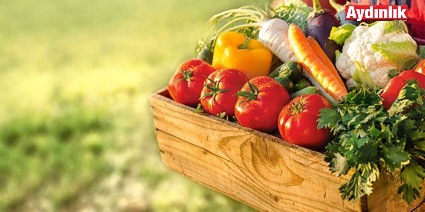 GIDA GÜVENLİĞİ HALK SAĞLIĞI MESELESİ